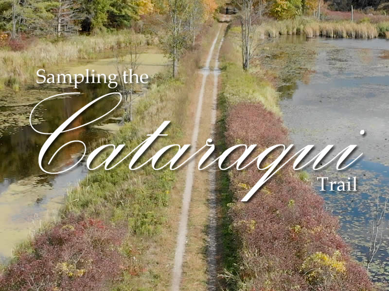 Sampling the Cataraqui Trail - October 2020 - Andrew Lavigne's Website